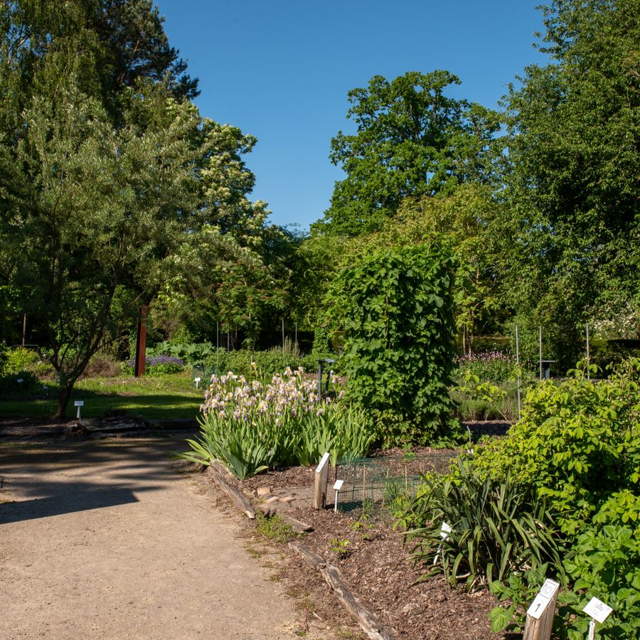 Welcome to the Botanic Garden! | Plantentuin Meise